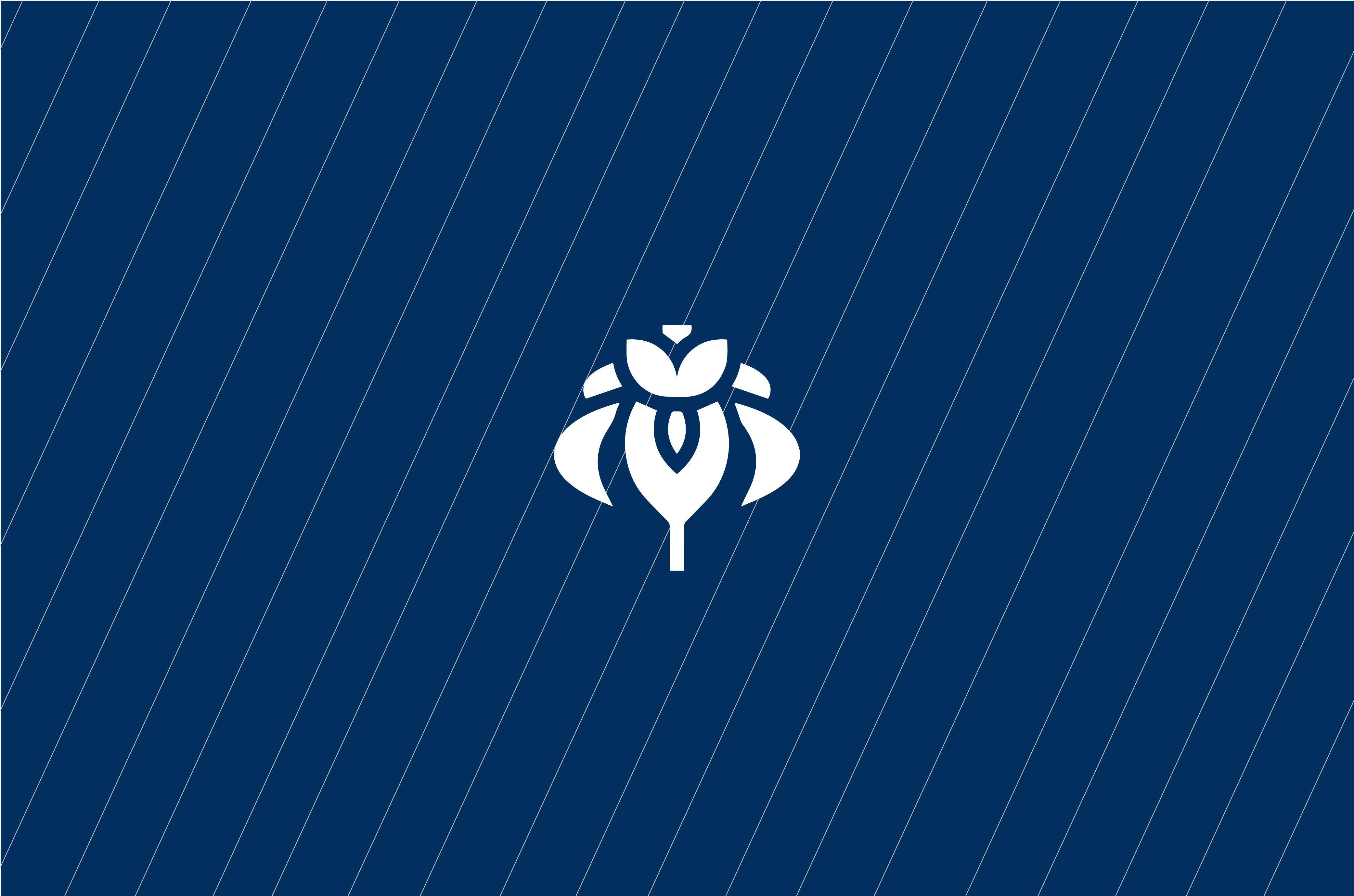 IRIS initiative: connecting business strategy and planetary boundaries